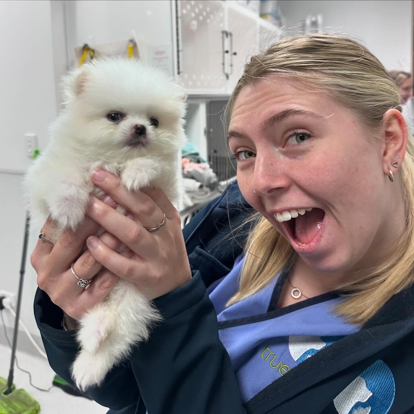 True Vets Ormiston | Family Vet in Flat Bush, Auckland